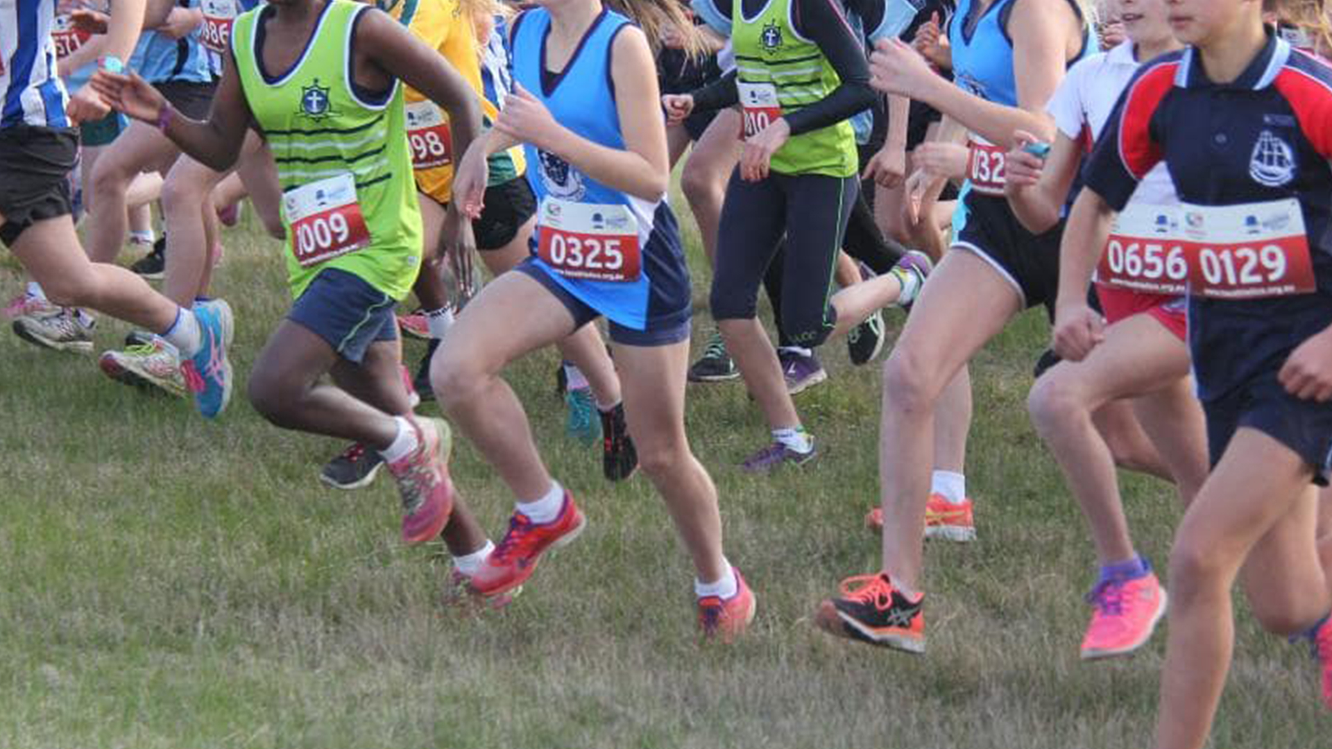 NSW Cross Country Championships (2013) Results | MultiSport Australia