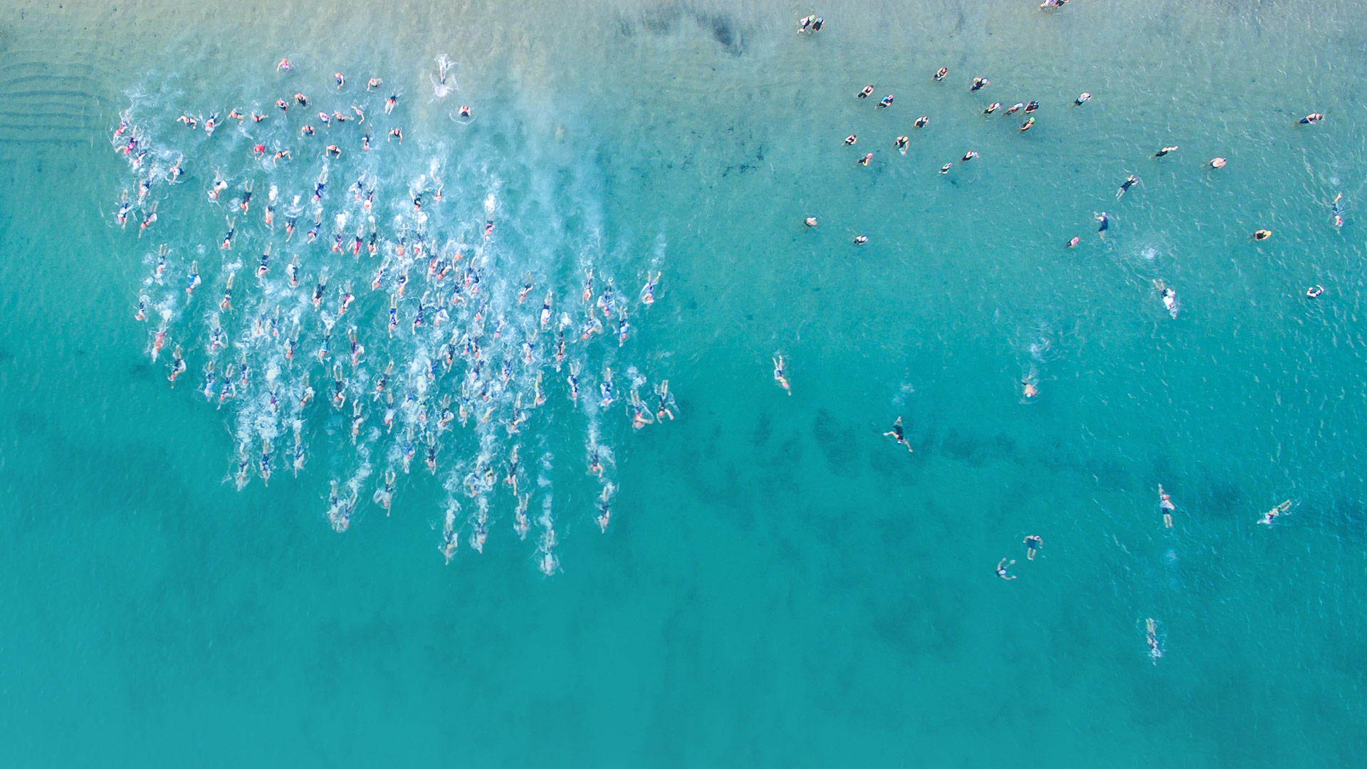 Mooloolaba Triathlon Festival (2024) Results | MultiSport Australia