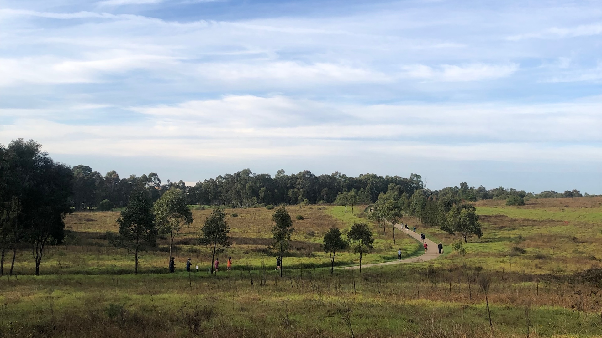 10km - Parklands Running Festival (2024) | MultiSport Australia