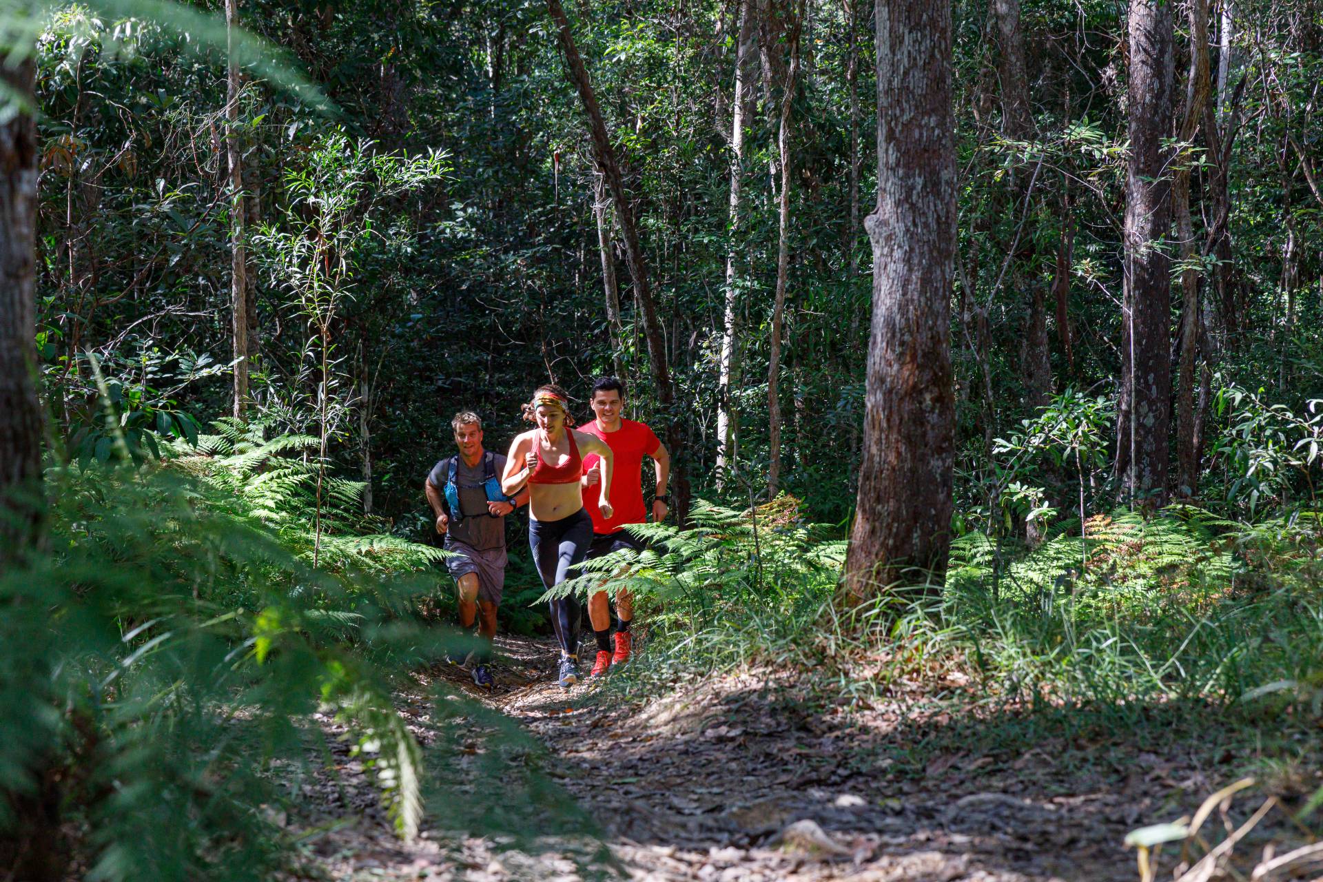 (#3144) Justin GREGER - POMONA SUNDOWNER 30km - Noosa Ultra Trail (2025 ...