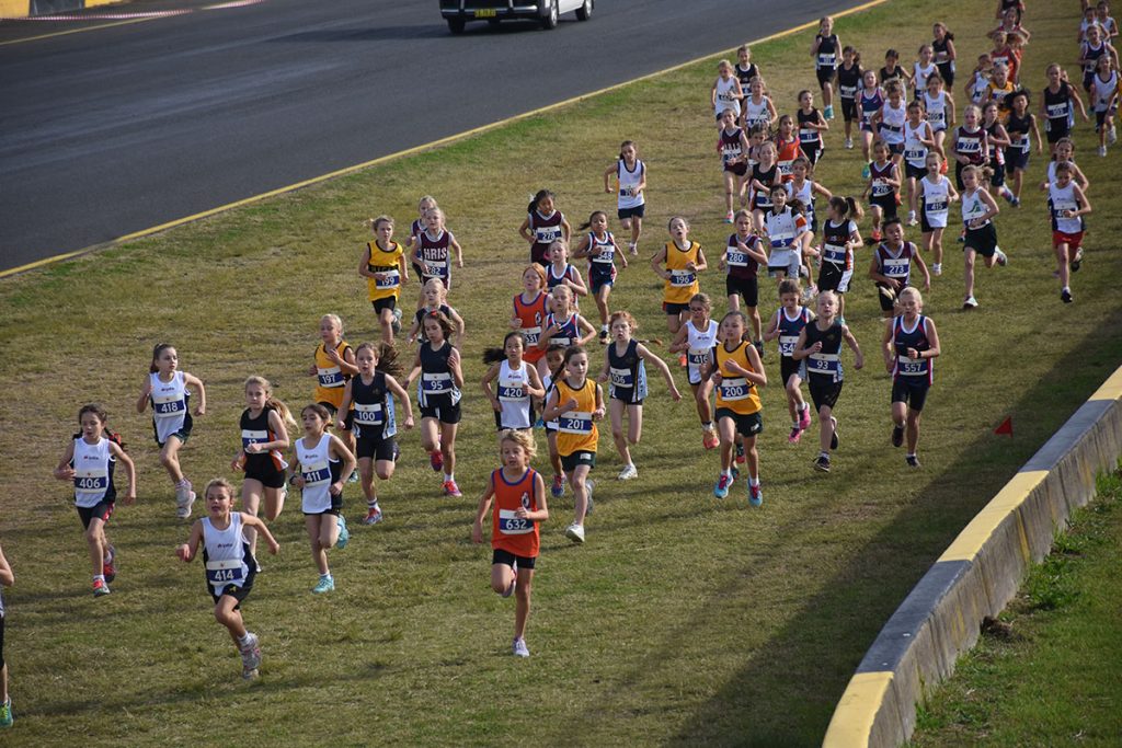 (#1438) Amiya RAILEQE - Secondary 12 Girls - NSW CIS Cross Country ...